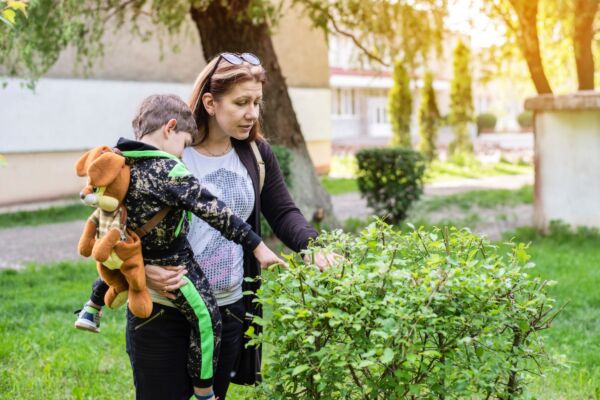 The PLANNING CYCLE and the Montessori Method - Your Childs Day (YCD)
